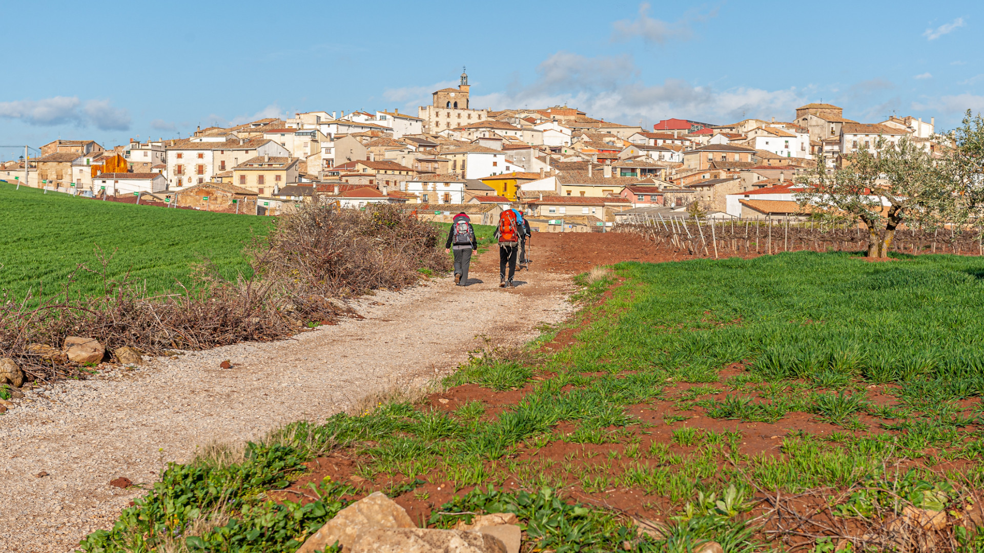Los diferentes Caminos de Santiago en España